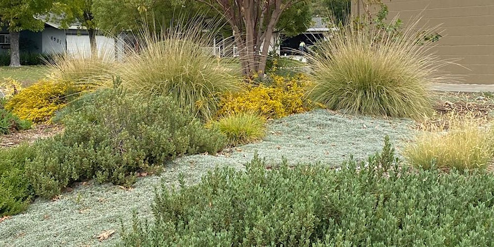Webinar: MWELO Training & Roundtable for Landscape Designers